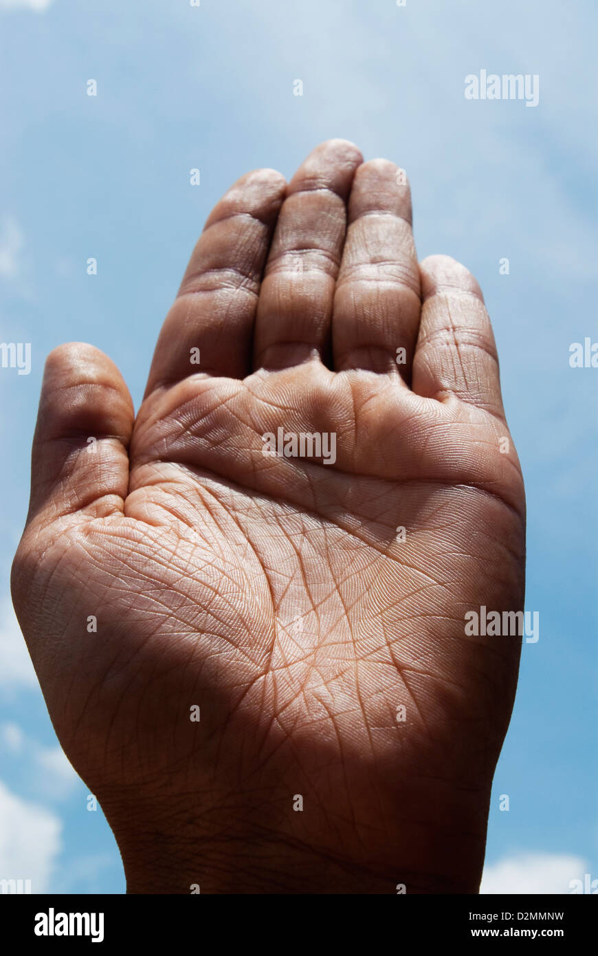 Close-up of a human palm, New Delhi, India Stock Photo - Alamy