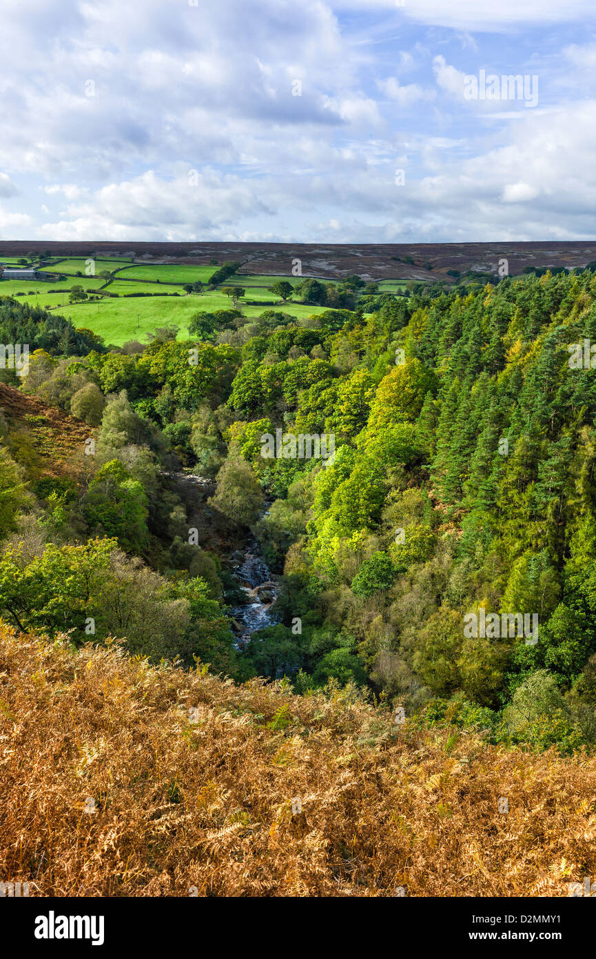 West yorkshire moors hi-res stock photography and images - Alamy