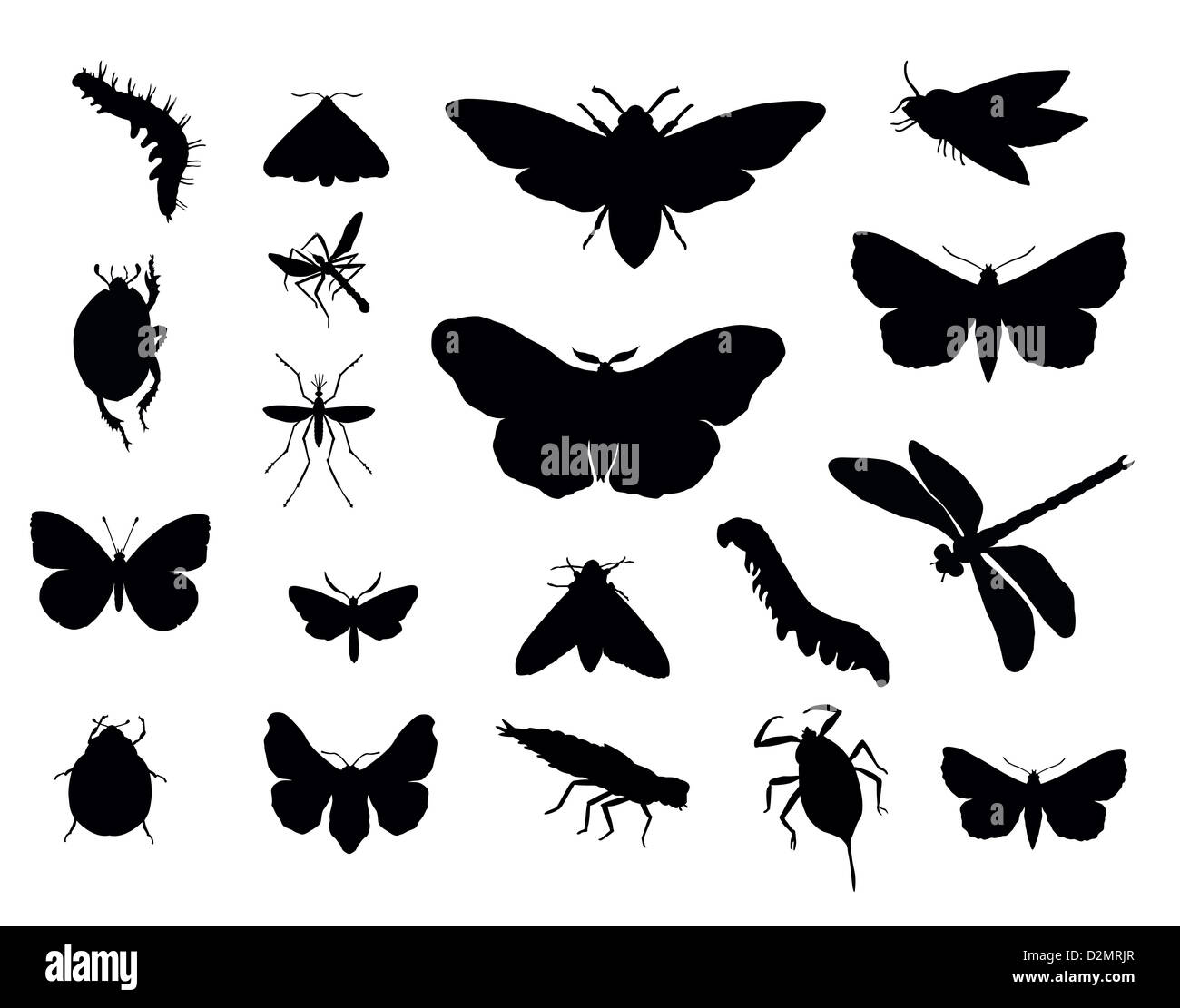 Insects silhouettes collections. Vector eps8 Stock Photo - Alamy
