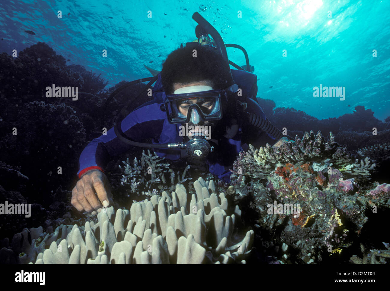 Fijian man, scuba diver, scuba diving, coral reef, waters off, Qamea ...