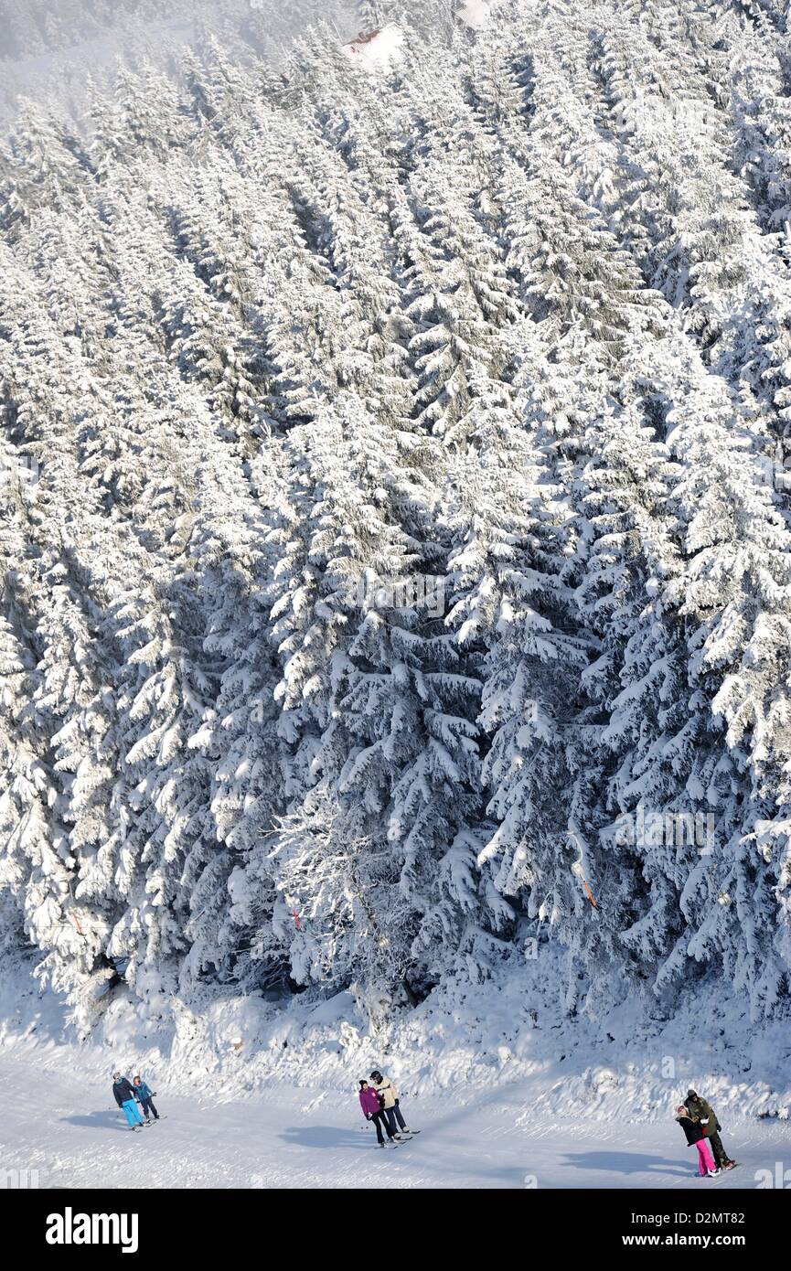 Winter in the Harz Mountains of Germany. Photo: Frank May Stock Photo ...