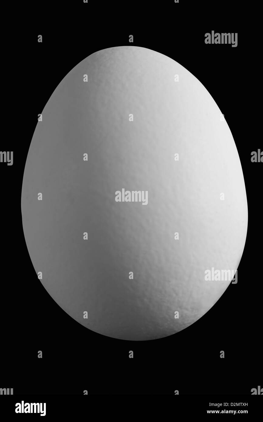 White egg Black and White Stock Photos & Images - Alamy