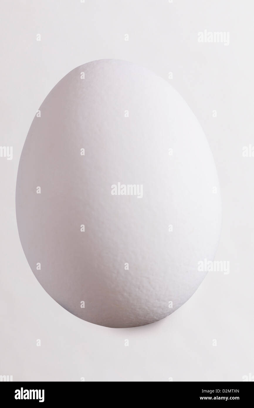 Close-up of a white egg Stock Photo - Alamy