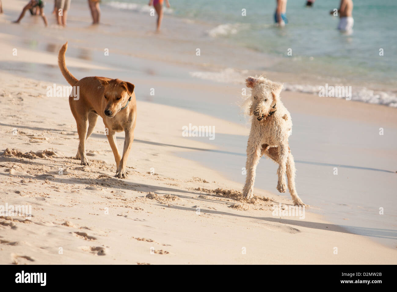 Play beach hi-res stock photography and images - Alamy
