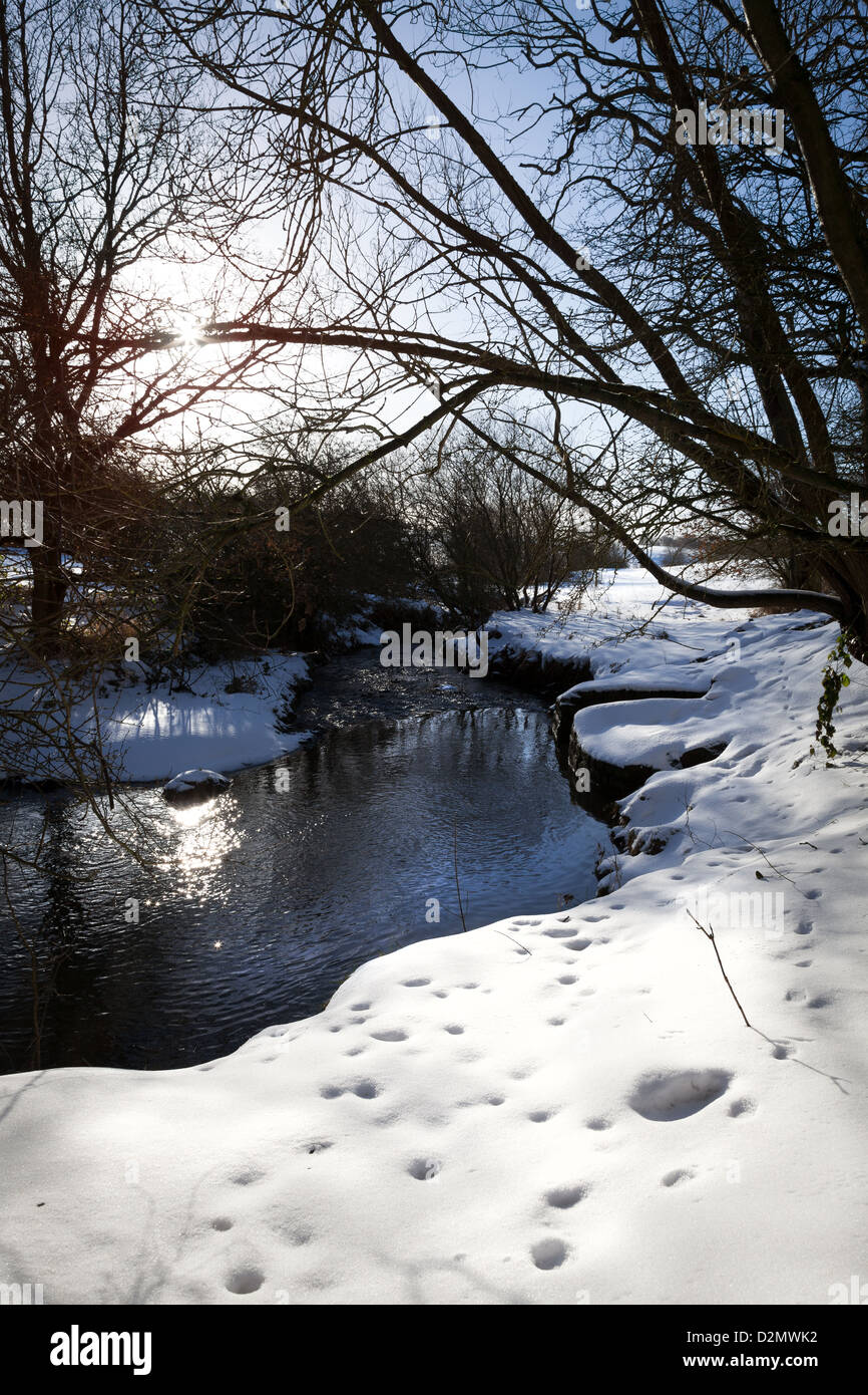 Snowy wintery scene in the woods by a stream with clear blue sky Stock ...