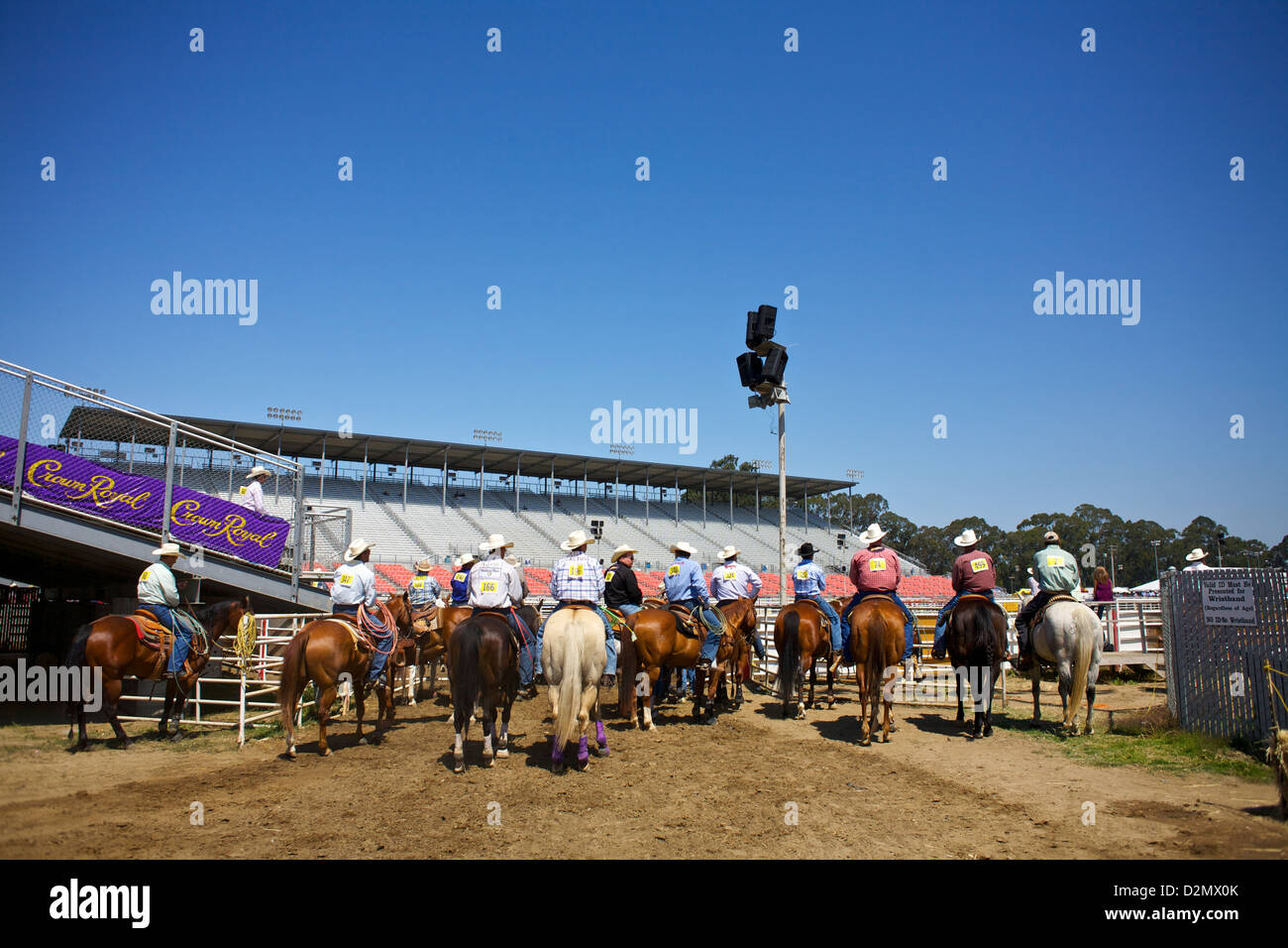 Old rodeo cowboys hi-res stock photography and images - Alamy