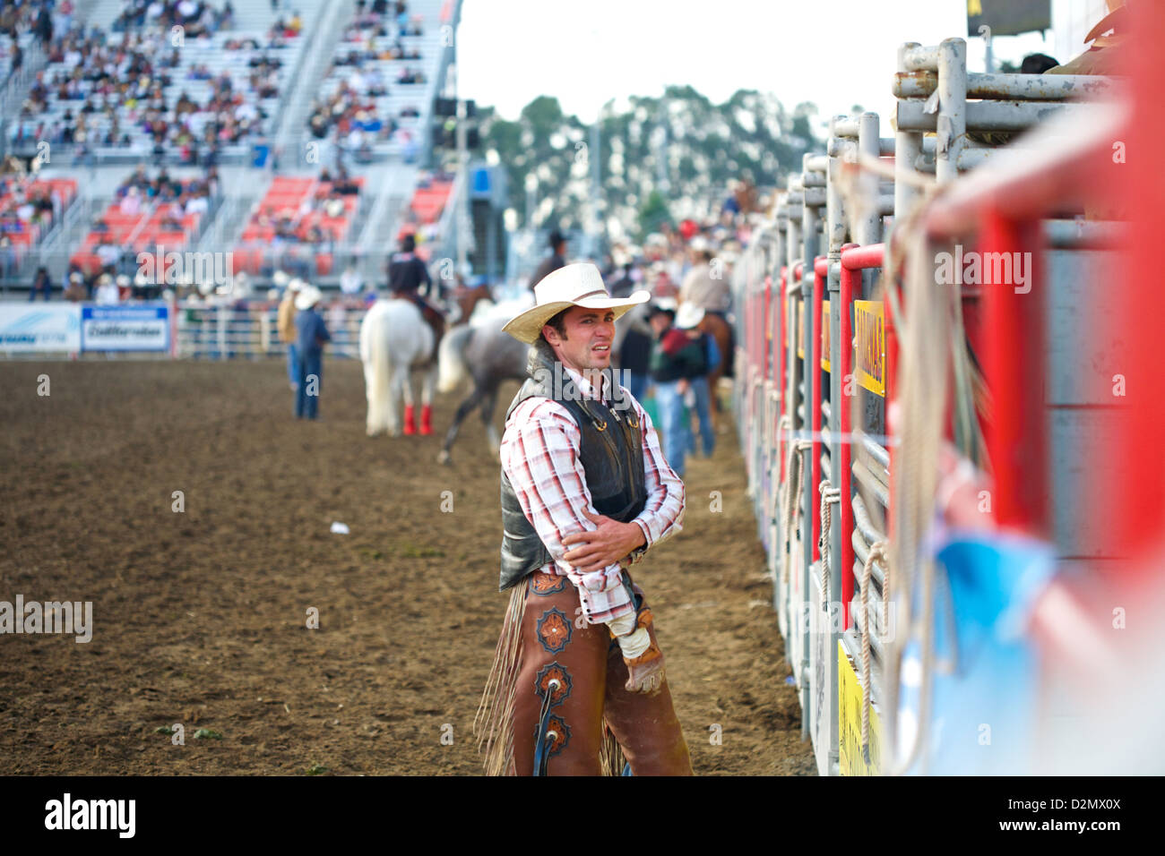 Bronco riding hi-res stock photography and images - Alamy