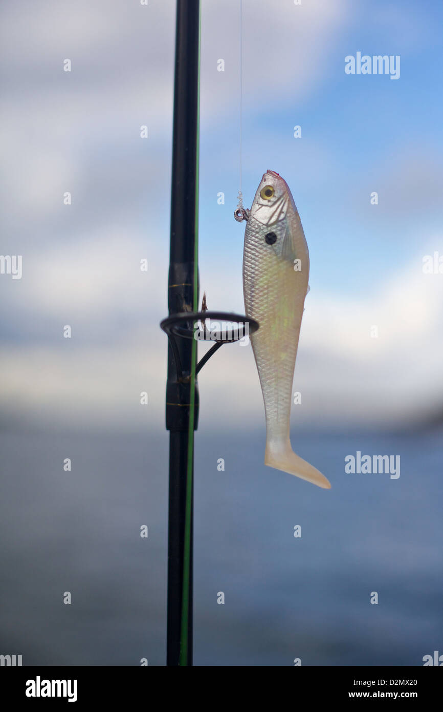 Fishing lure shaped like a small fish hooked on a fishing rod Stock ...