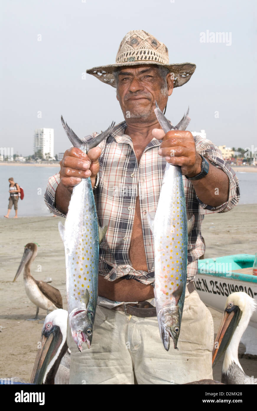 Panga fish hi-res stock photography and images - Alamy