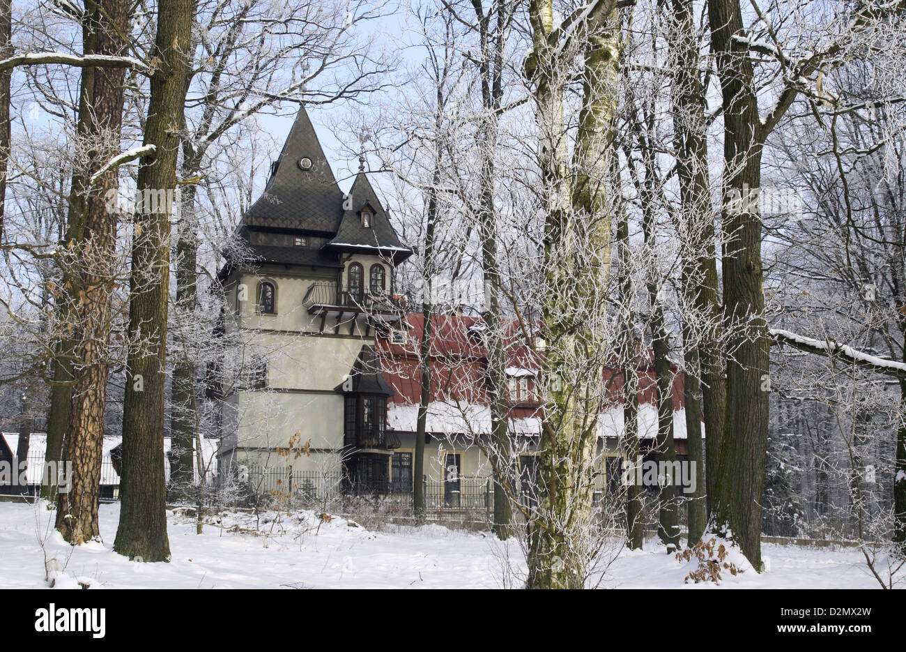 An old but very beautiful mansion or small castle in a winter forest ...