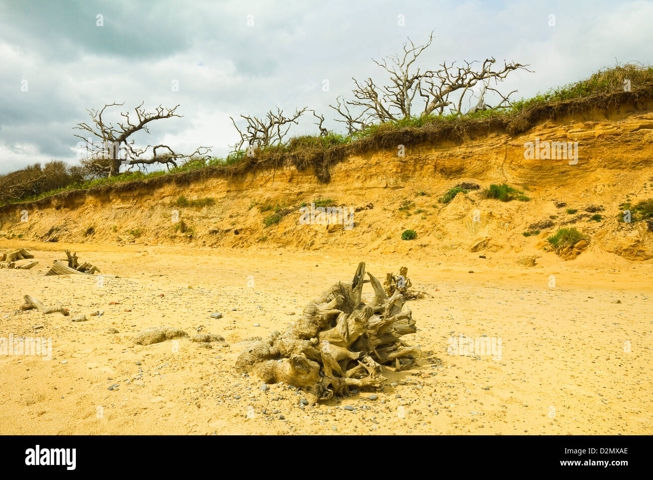 Severe erosion of loose Quaternary glacial sands on this coast that has ...