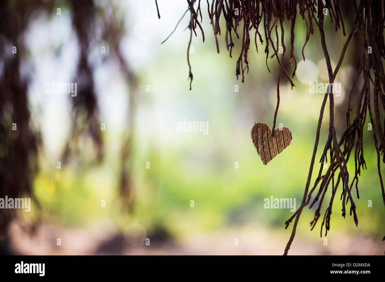 Heart coconut hi-res stock photography and images - Alamy