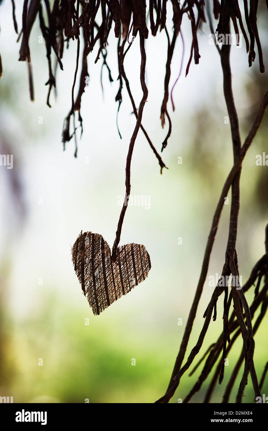 Heart coconut hi-res stock photography and images - Alamy