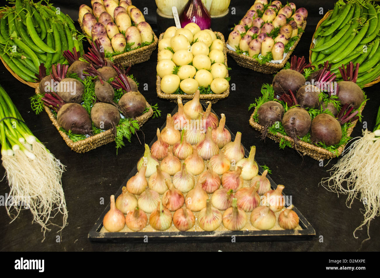 Selection of vegetables at a flower show Stock Photo - Alamy