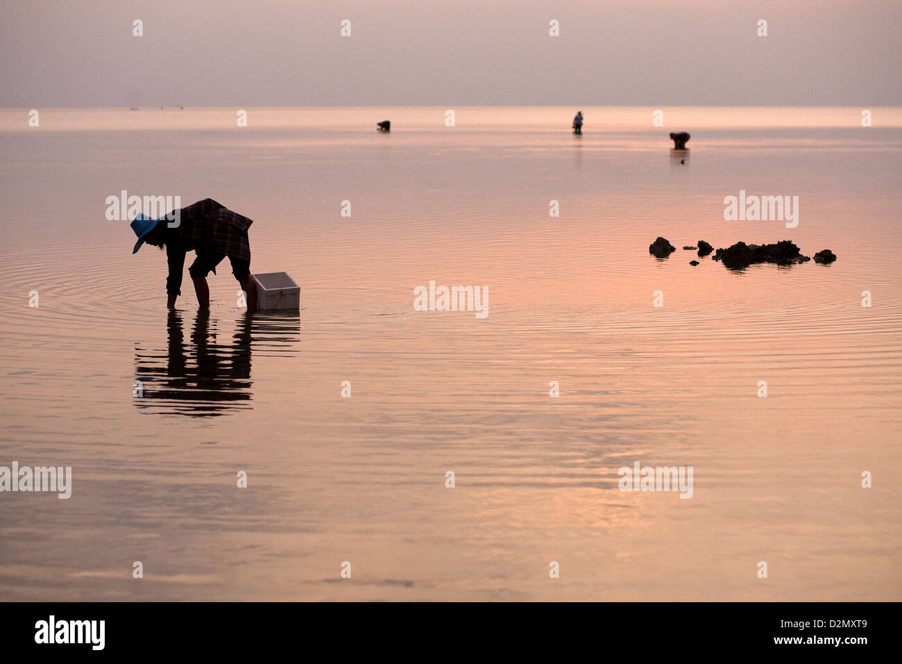 Clam island hi-res stock photography and images - Alamy
