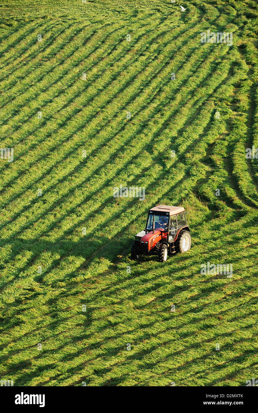 A tractor cutting grass for hay Stock Photo - Alamy