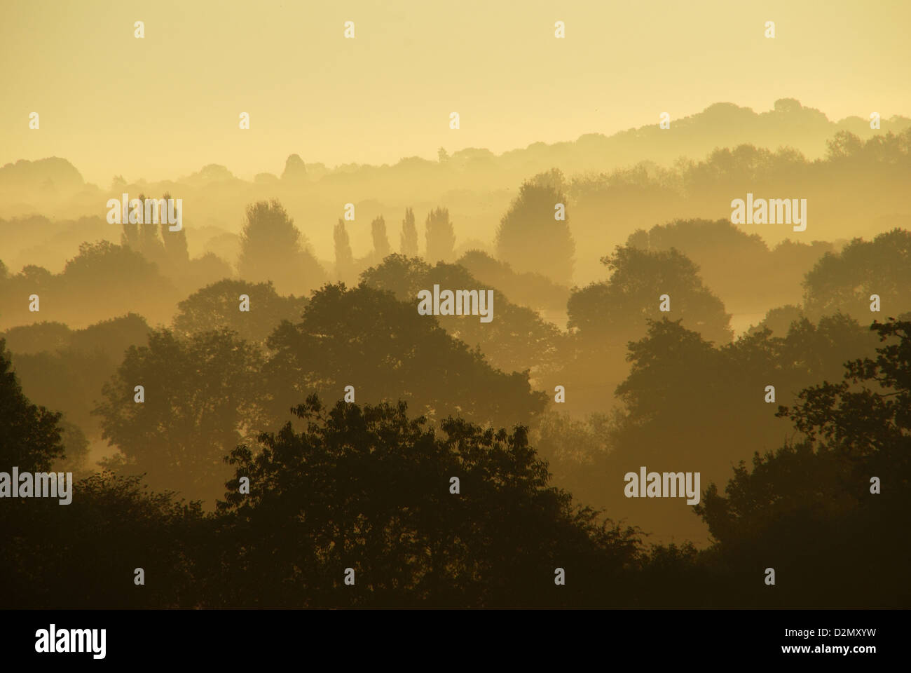 Kent autumn mist hi-res stock photography and images - Alamy