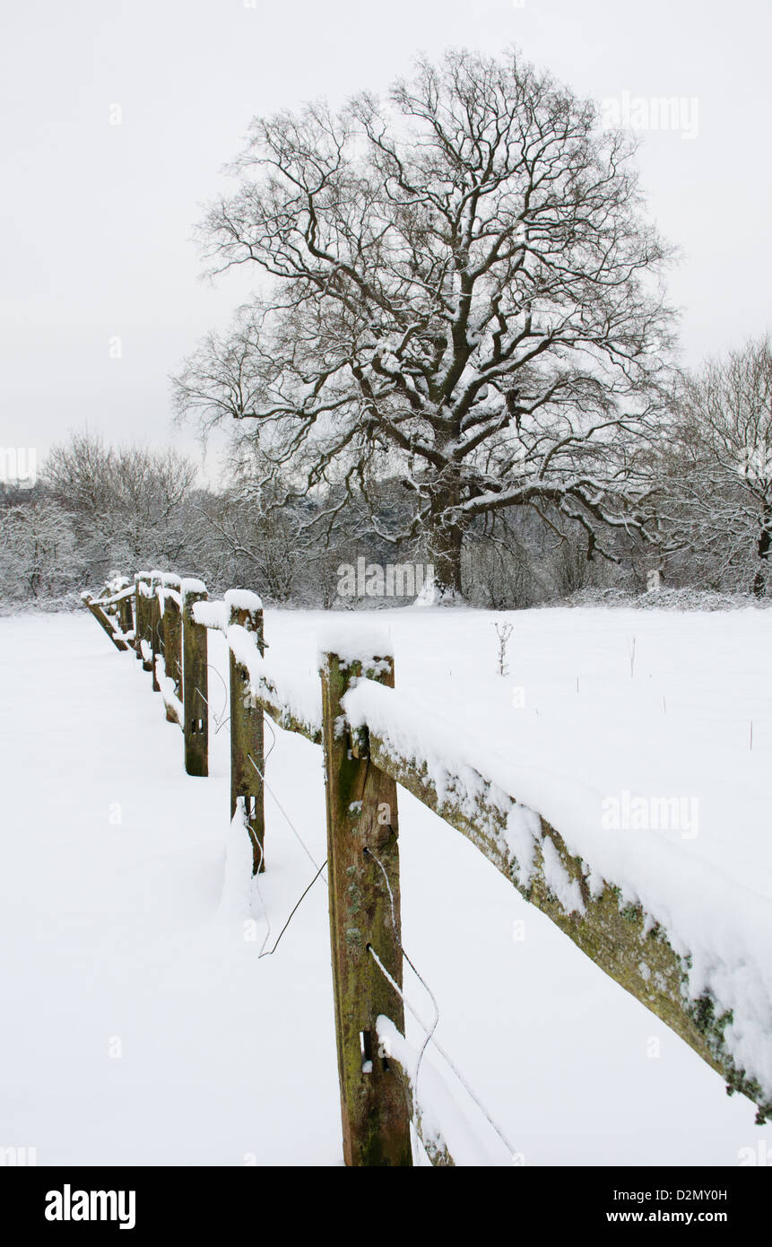 Snow on post and rail fence in the countryside Stock Photo - Alamy