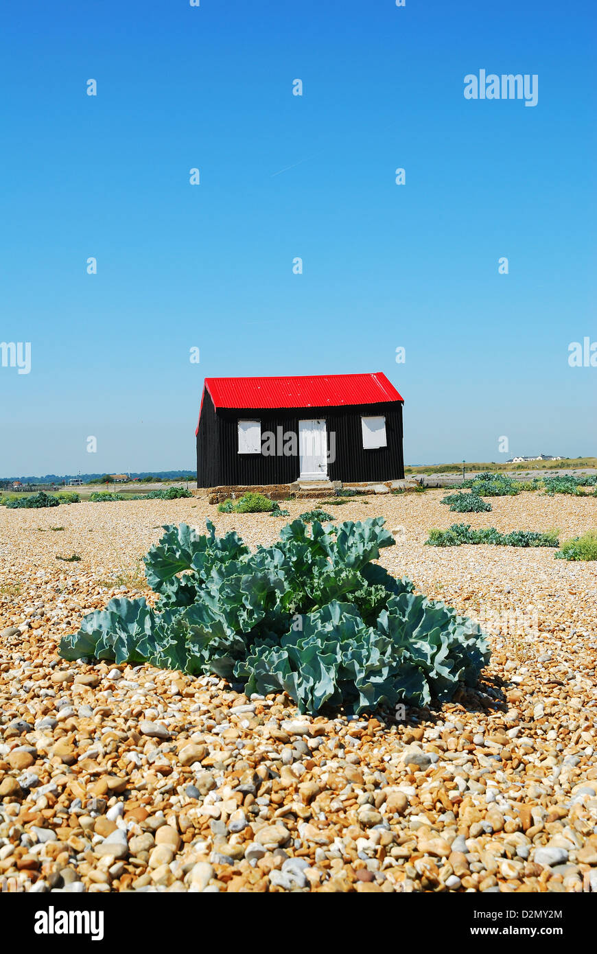 This hut is on the beach at Rye Harbour, East Sussex Stock Photo - Alamy