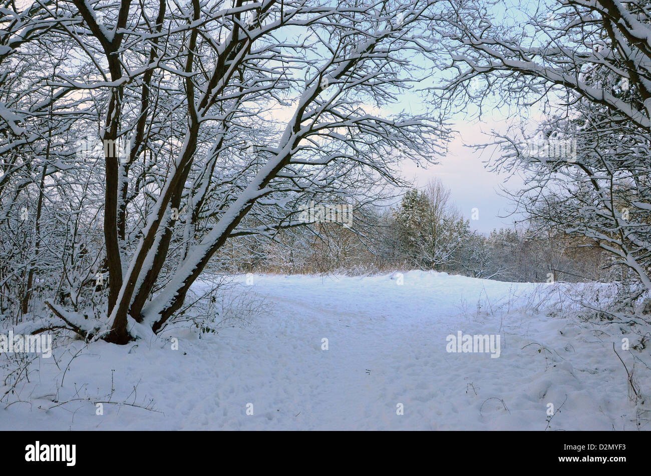 Crisp january morning hi-res stock photography and images - Alamy
