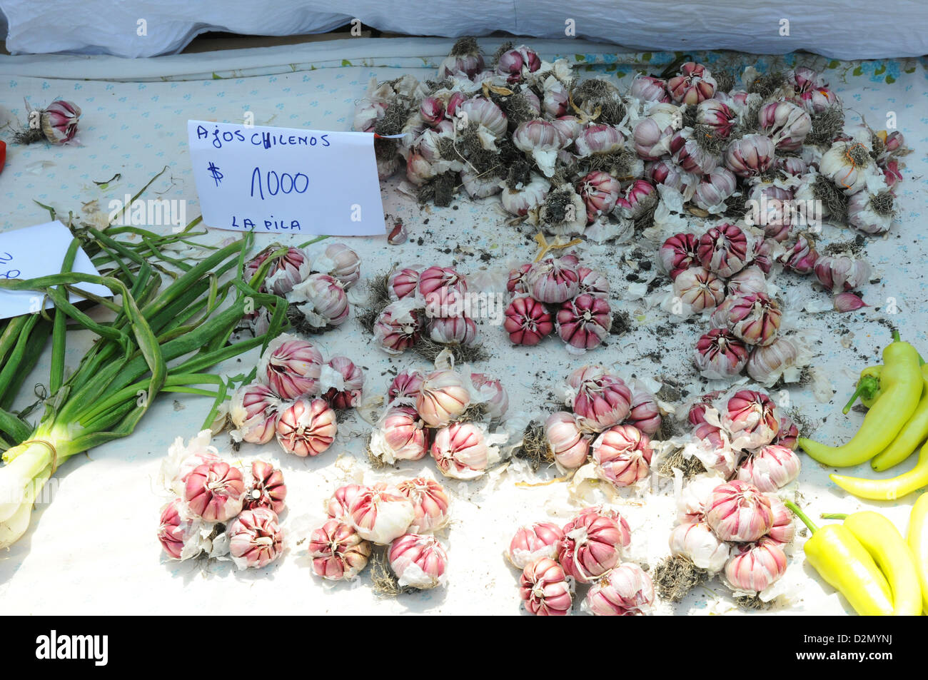garlic cloves displayed informally for sale in street market place ...