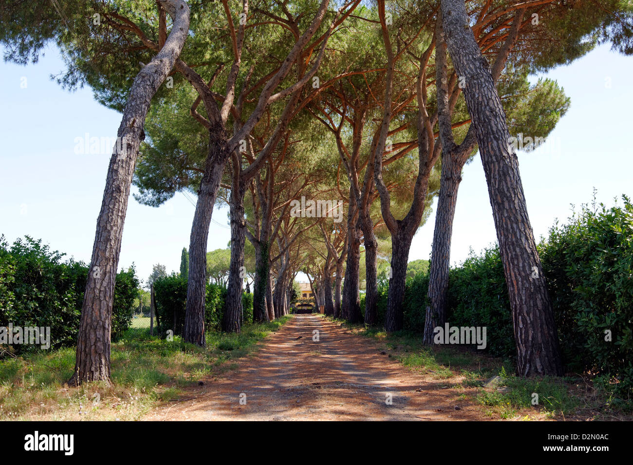 Italy. Image of the ancient Roman road The Appian Way (Via Appia Antica) in Southern Rome and a ...