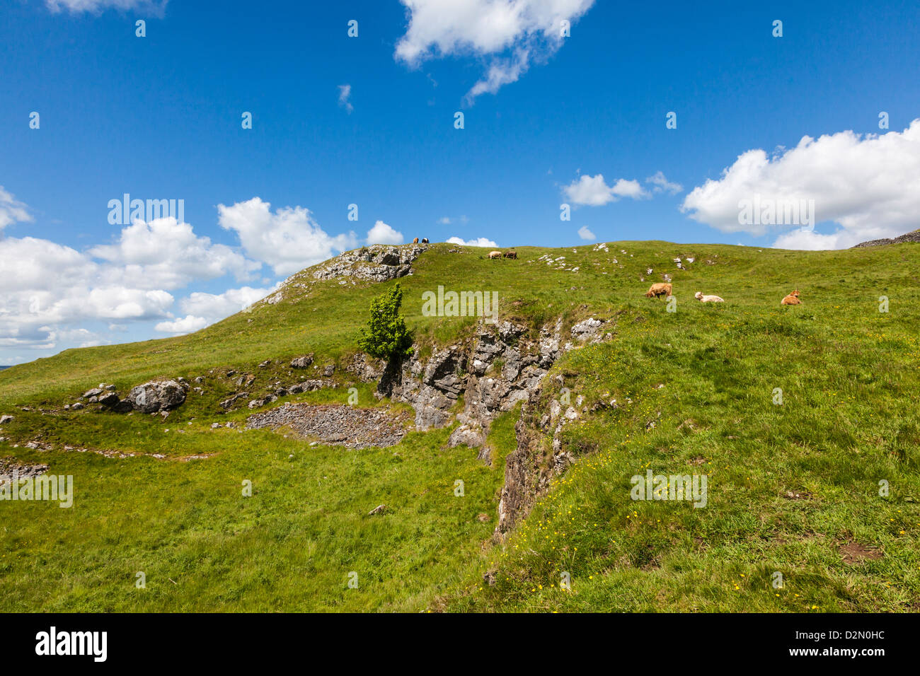 Settle Village Yorkshire High Resolution Stock Photography and Images ...