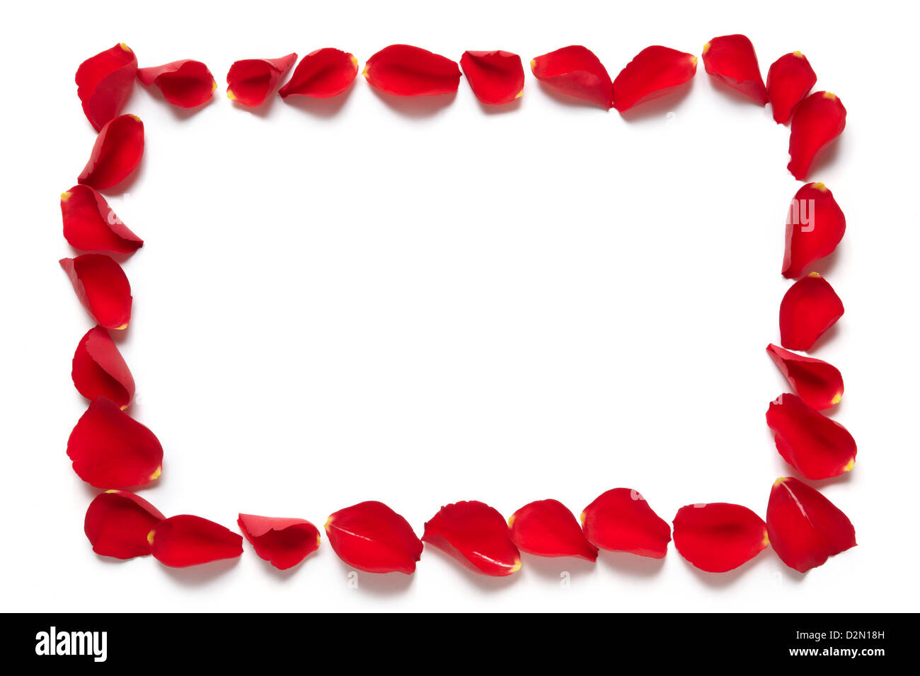Red rose petal rectangle border on white background Stock Photo - Alamy