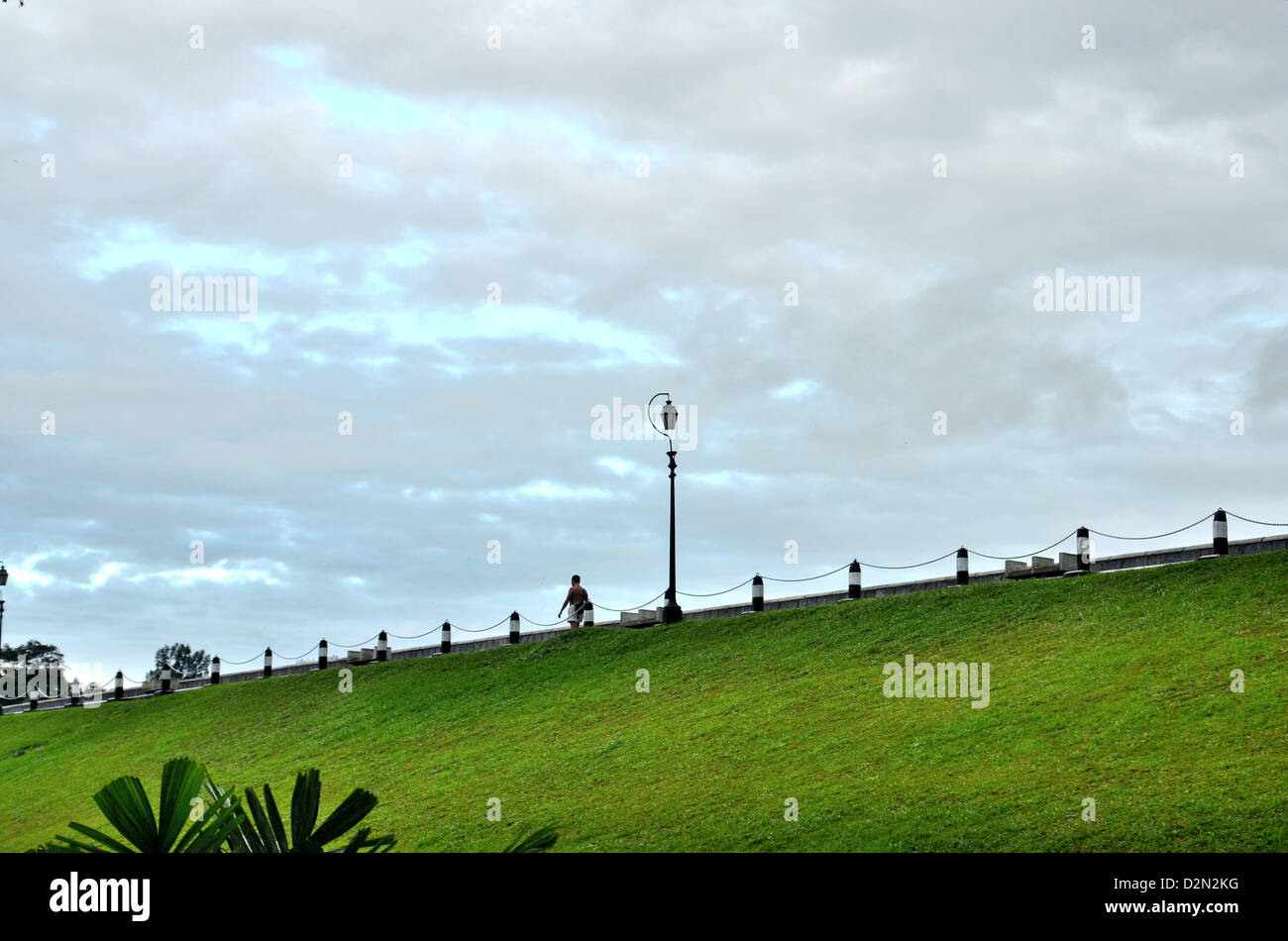 Macritchie reservoir bridge High Resolution Stock Photography and ...