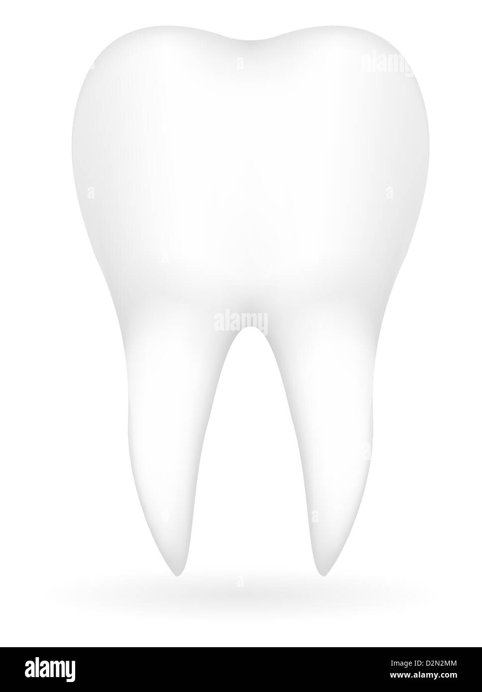 tooth illustration isolated on white background Stock Photo - Alamy