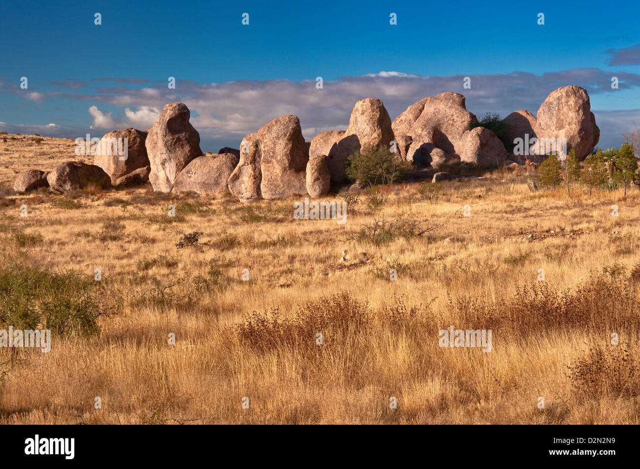 Volcanic rock formations at City of Rocks State Park, Mimbres Valley ...