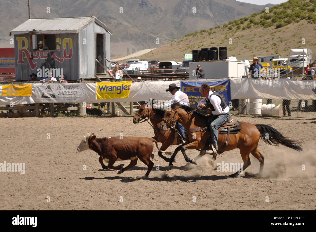 Calf roping hi-res stock photography and images - Alamy