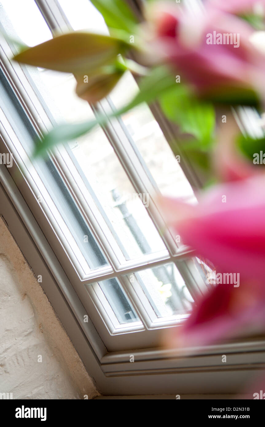 Flowers by Window Stock Photo - Alamy