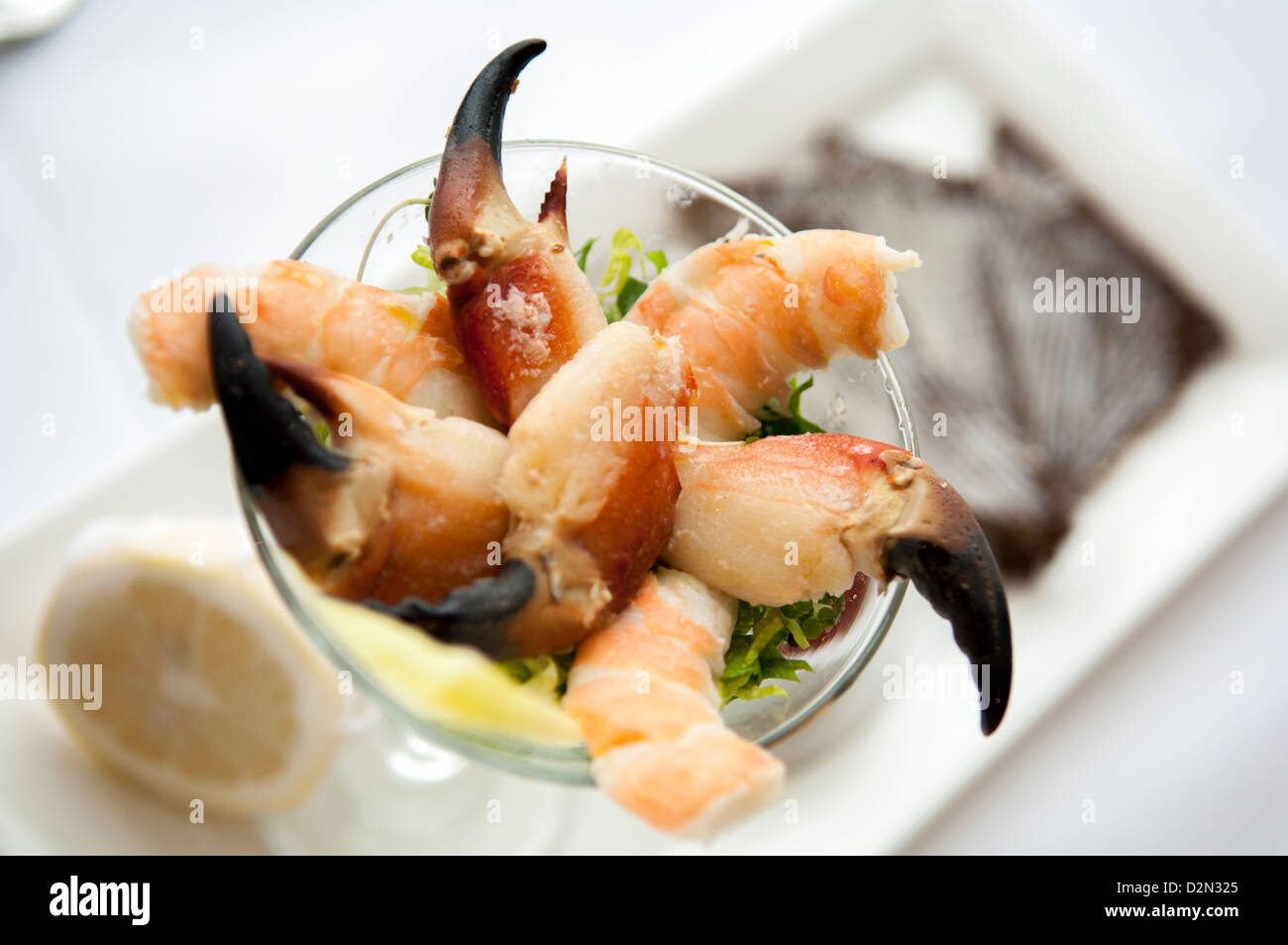 Fish with pincers hi-res stock photography and images - Alamy