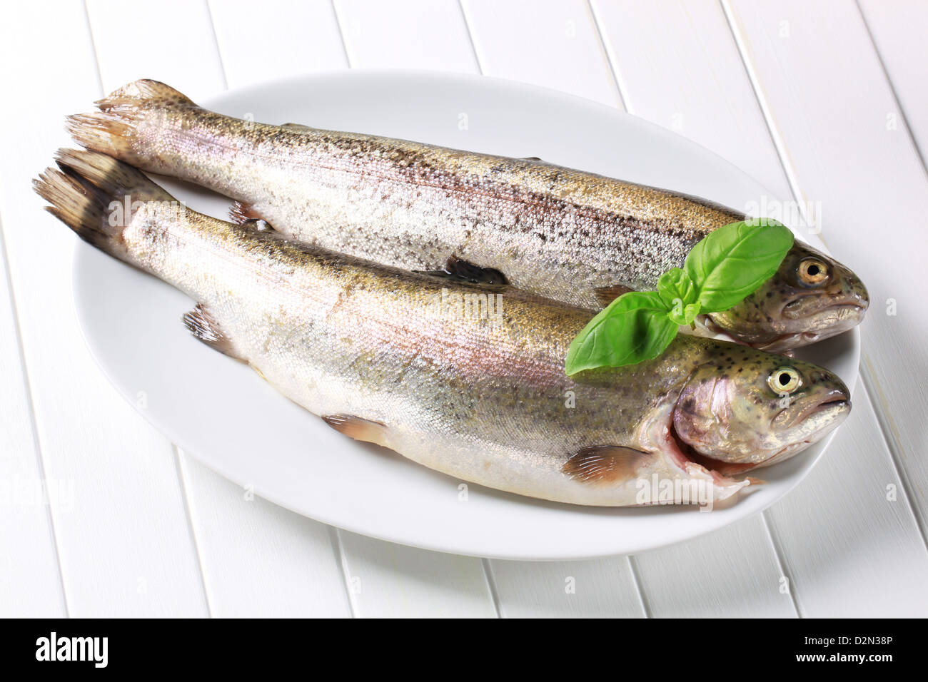 Two fresh trout Stock Photo - Alamy