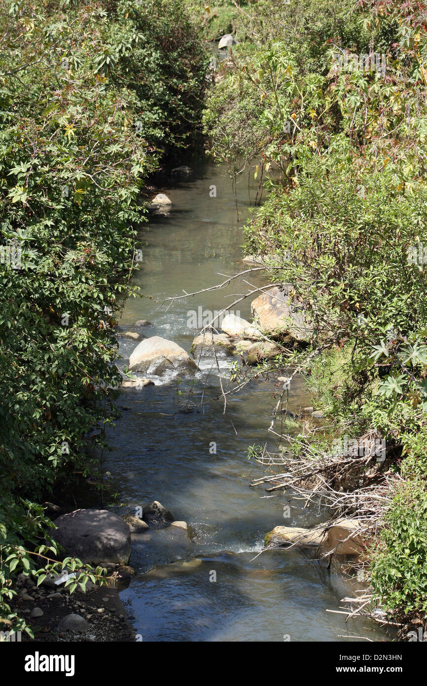 A small stream flowing through a farmers pasture in Cotacachi, Ecuador ...