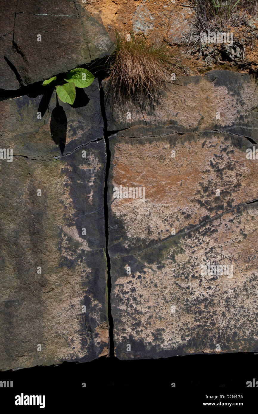 Millstone rock hi-res stock photography and images - Alamy