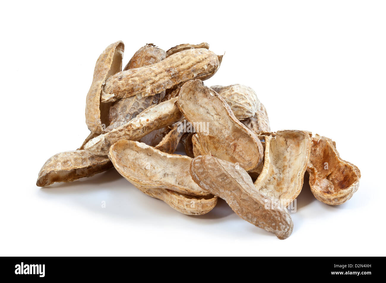 Peanut Shell Clip Art