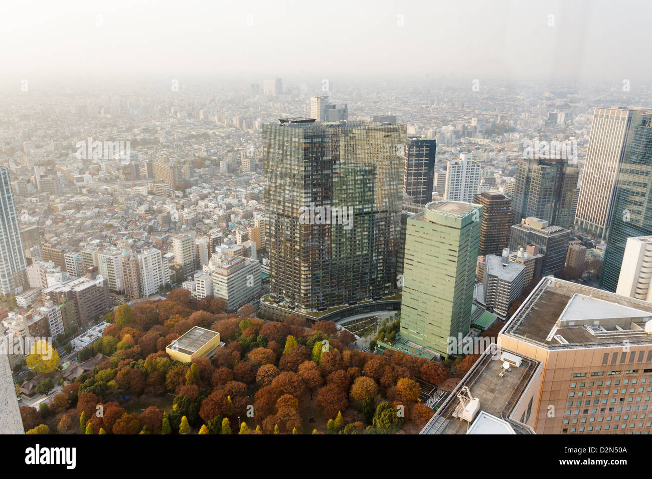 Tokyo, Japan,Shinjuku: modern building and city view from the ...