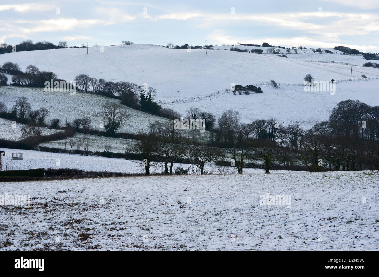 Snow covered field Stock Photo - Alamy