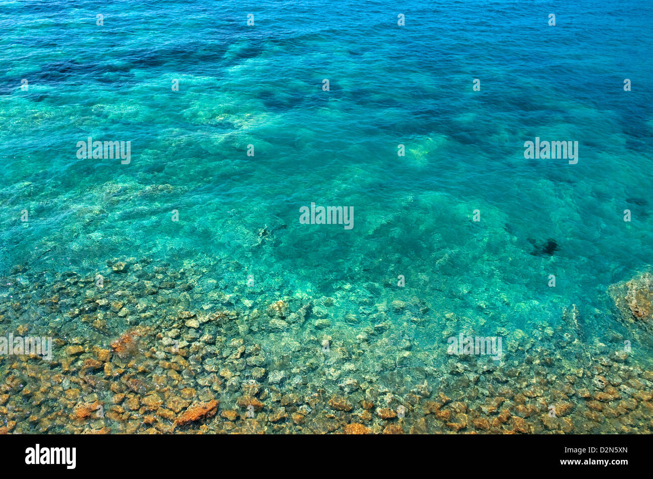 sea bottom with Stones in the Mediterranean Stock Photo - Alamy