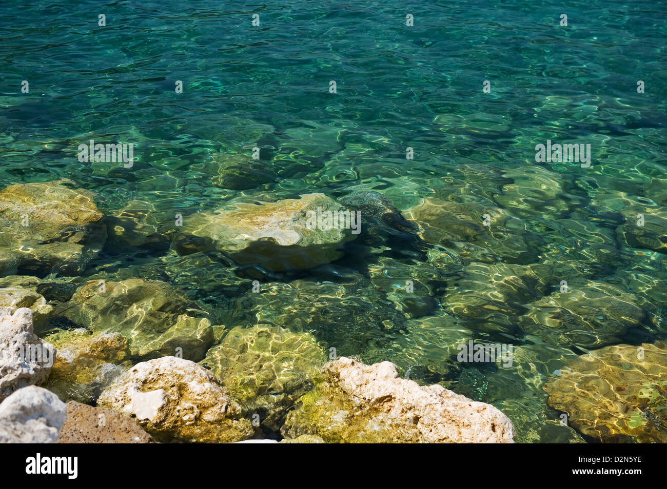 Sea bottom texture hi-res stock photography and images - Alamy