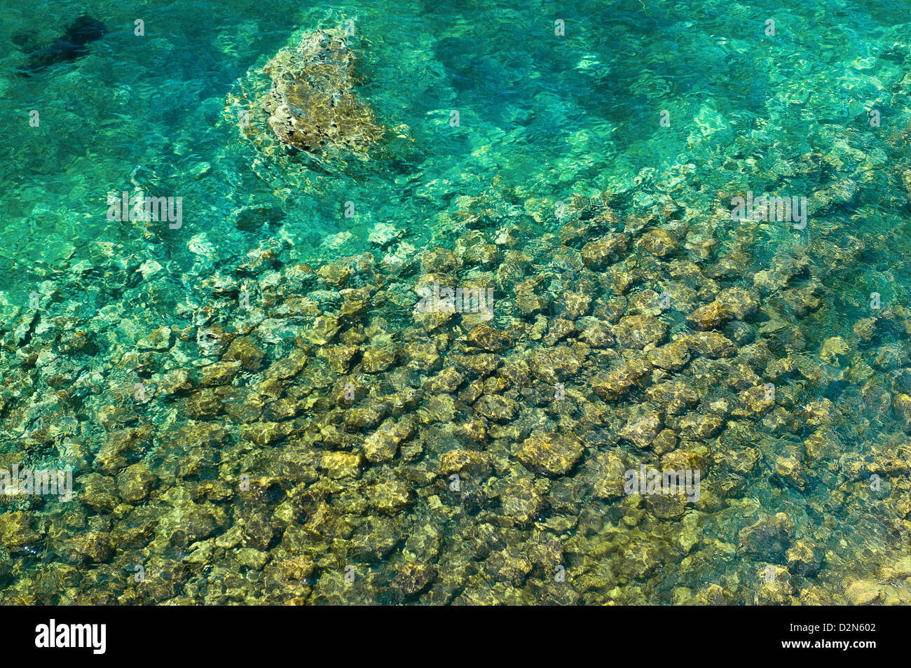 Sea bottom texture hi-res stock photography and images - Alamy