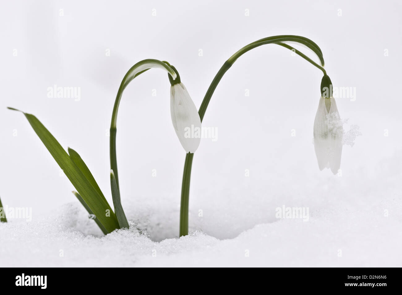 Late winter early spring hi-res stock photography and images - Alamy