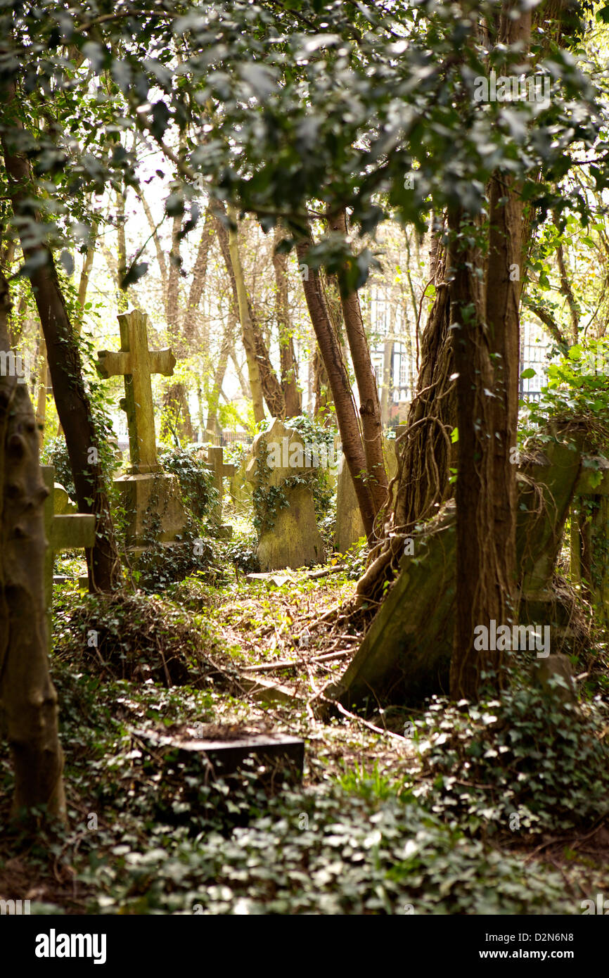 Graves at Highgate Cemetery, London, England, United Kingdom, Europe ...