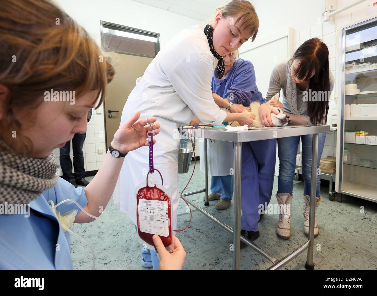 Sirius university hi-res stock photography and images - Alamy