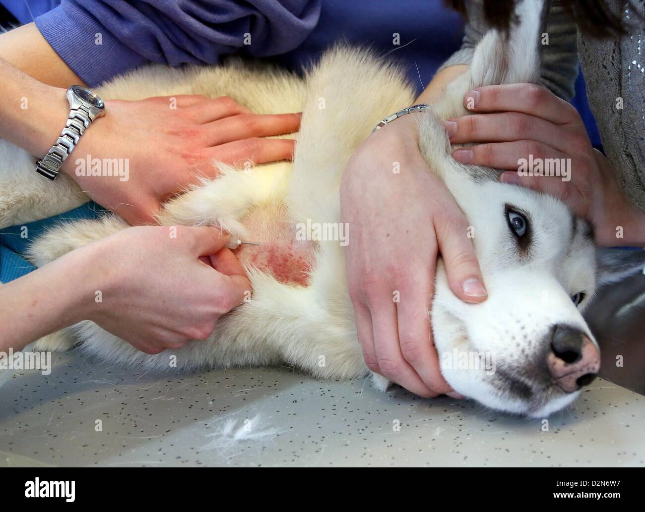 Sirius university hi-res stock photography and images - Alamy