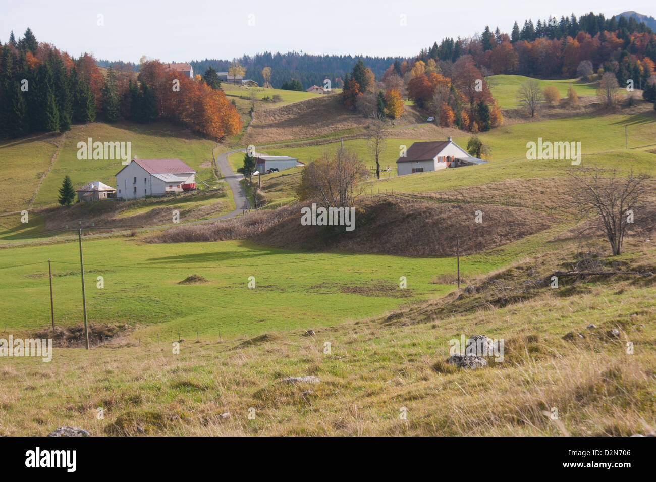 La pesse hi-res stock photography and images - Alamy