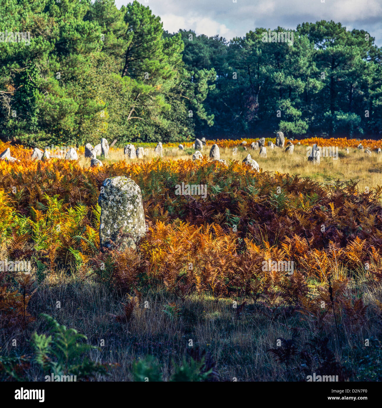 Standing stones alignment Carnac Brittany France Stock Photo - Alamy