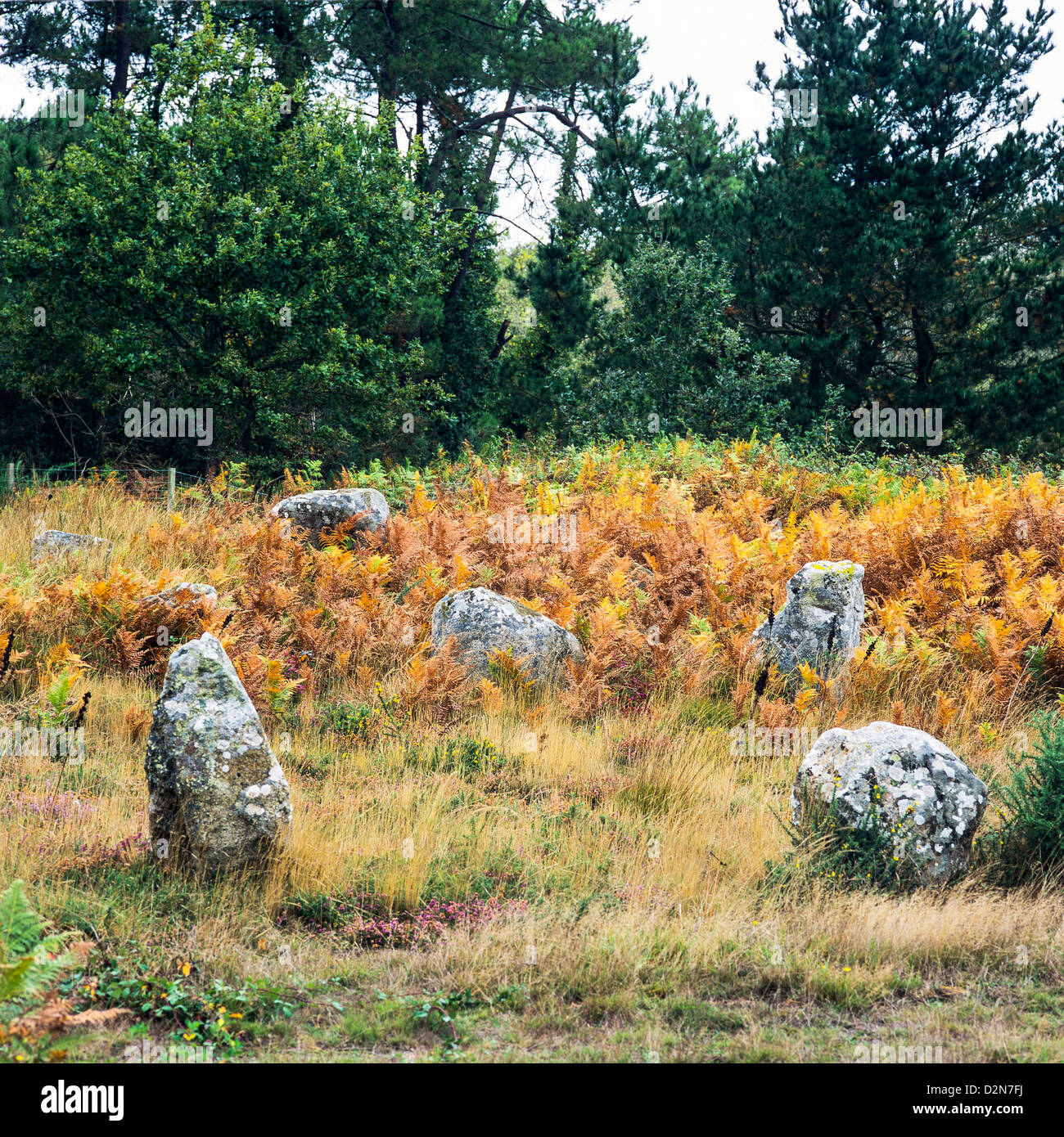Standing stones alignment Carnac Brittany France Stock Photo - Alamy